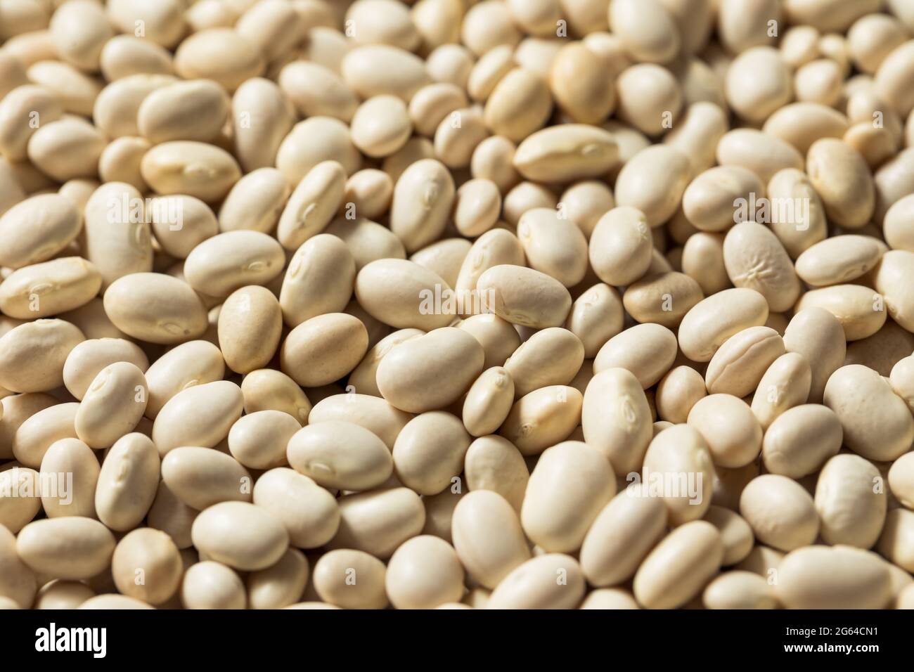 Healthy Organic Dry White Beans in a Bowl Stock Photo - Alamy