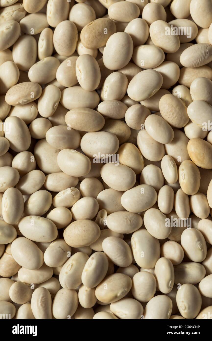 Healthy Organic Dry White Beans in a Bowl Stock Photo - Alamy