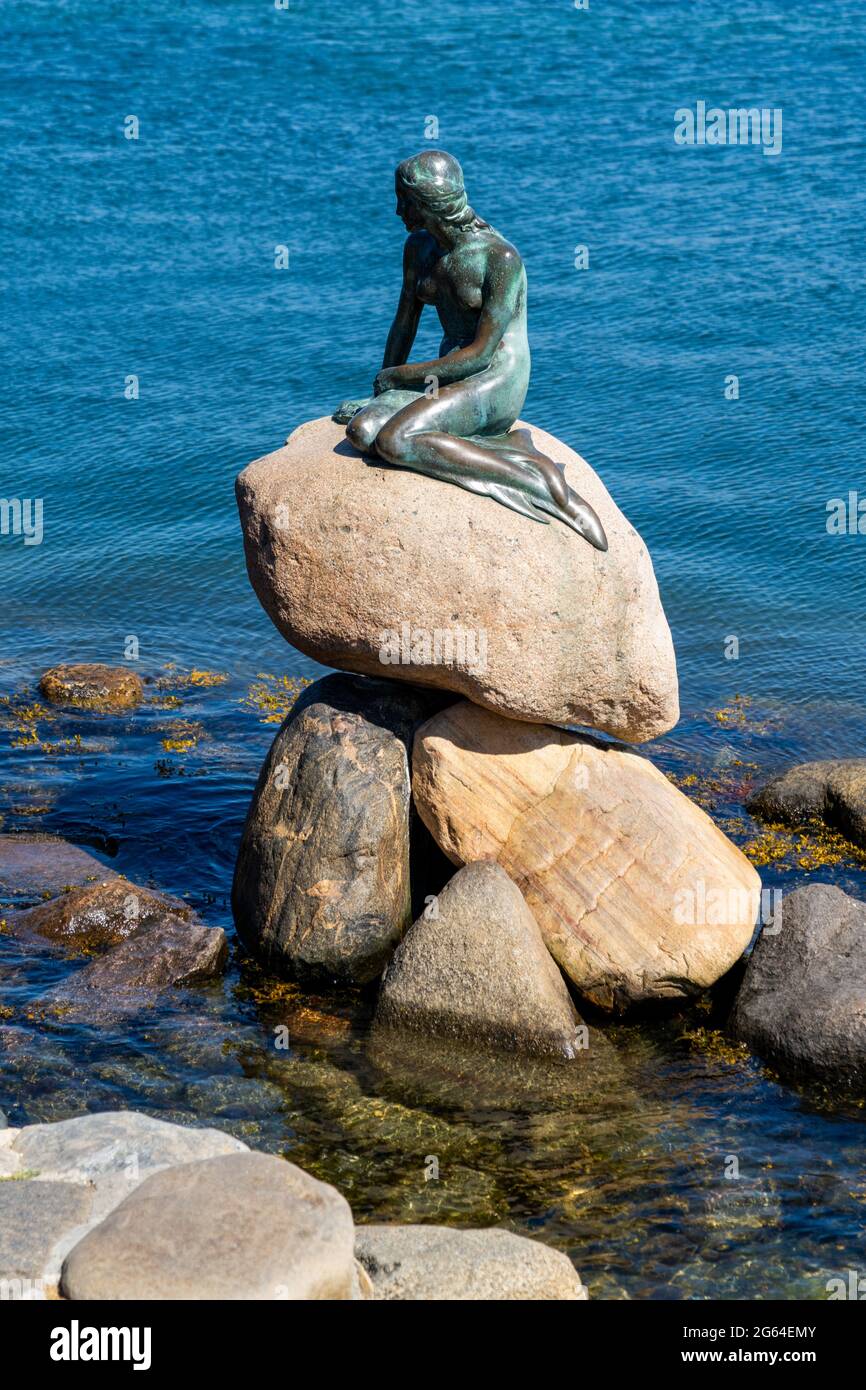 Copenhagen, Denmark - 13 June, 2021: view of the Little Mermaid statue ...