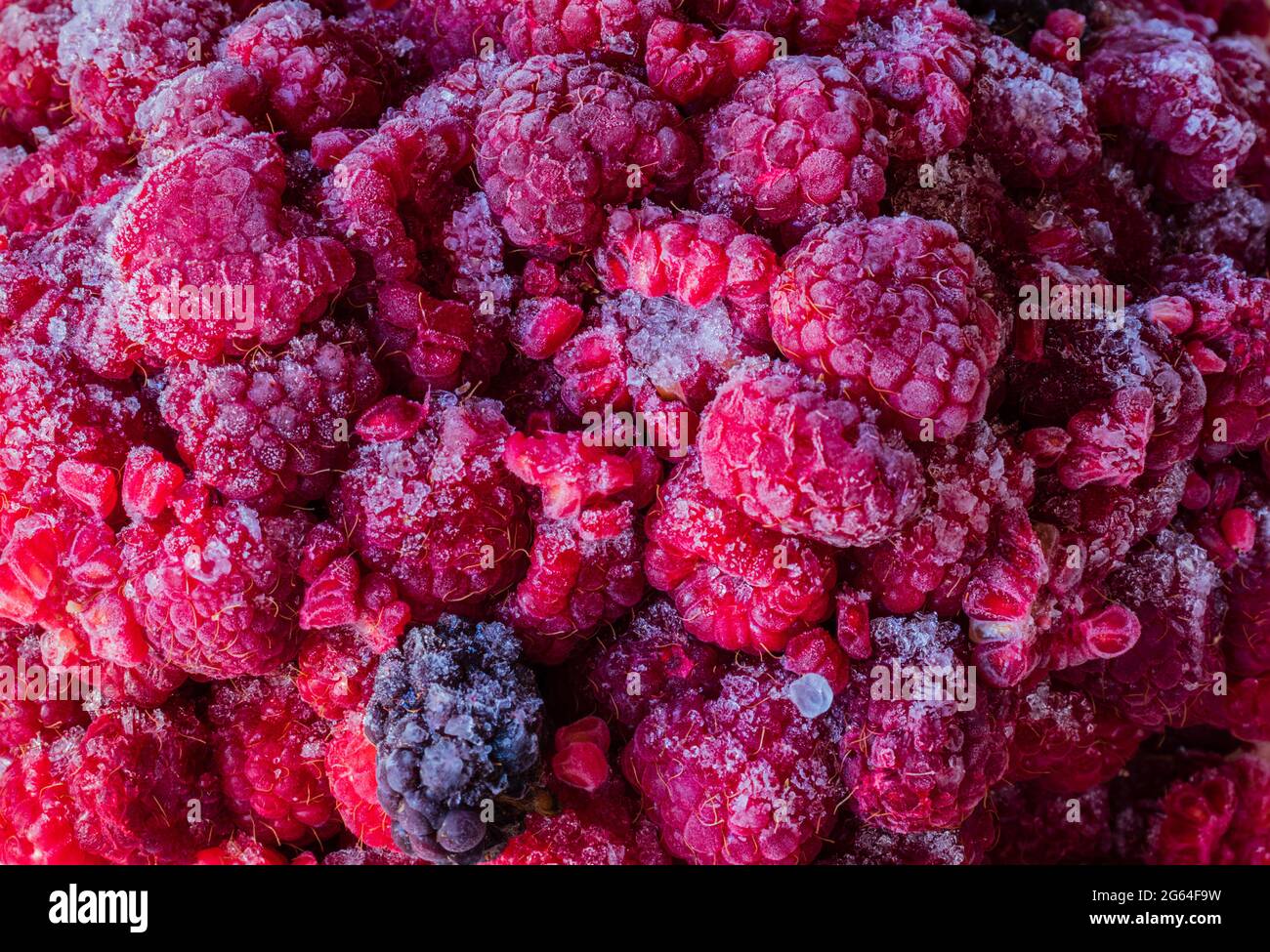 Frozen raspberries and blackberries ready to prepare a healthy drink ...