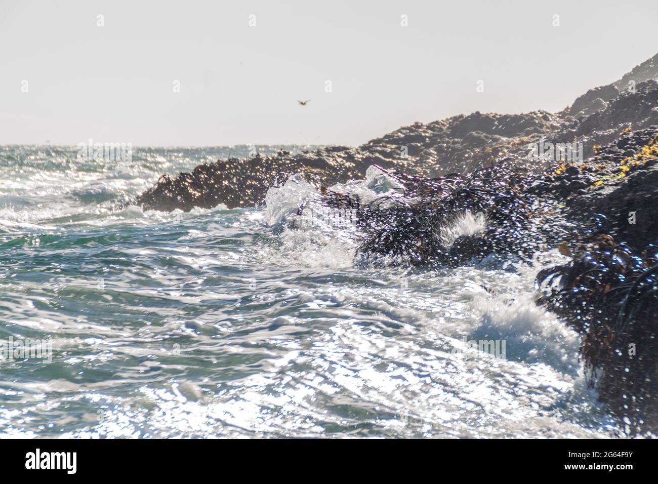 Big waves splash on islets in protected area Monumento Nacional Islotes ...