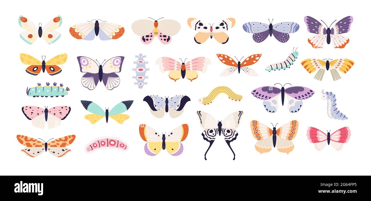 Caterpillars to butterflies Stock Vector Images - Alamy