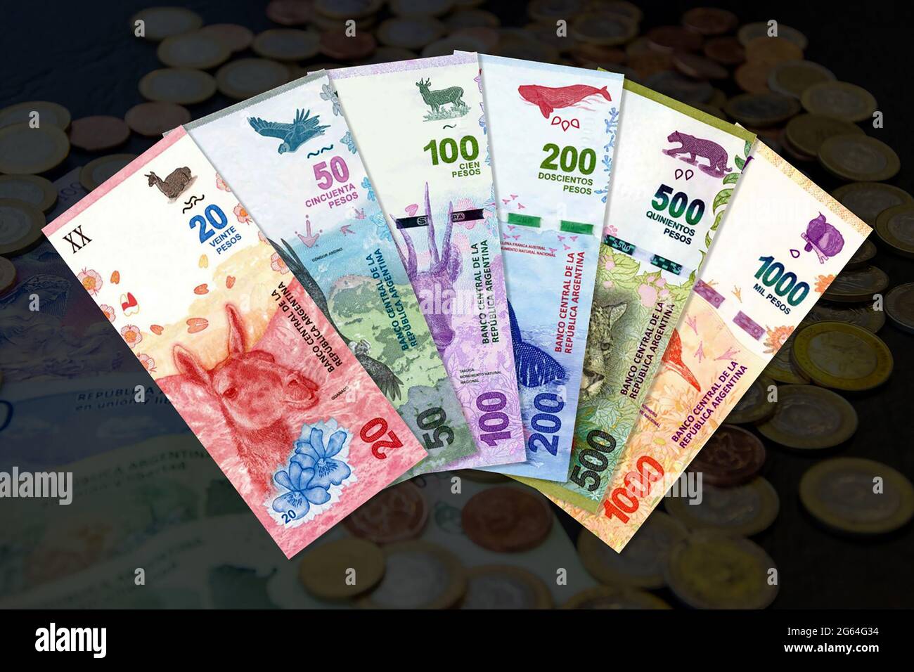 Argentine pesos: banknotes with new animal designs (2021 Stock Photo ...