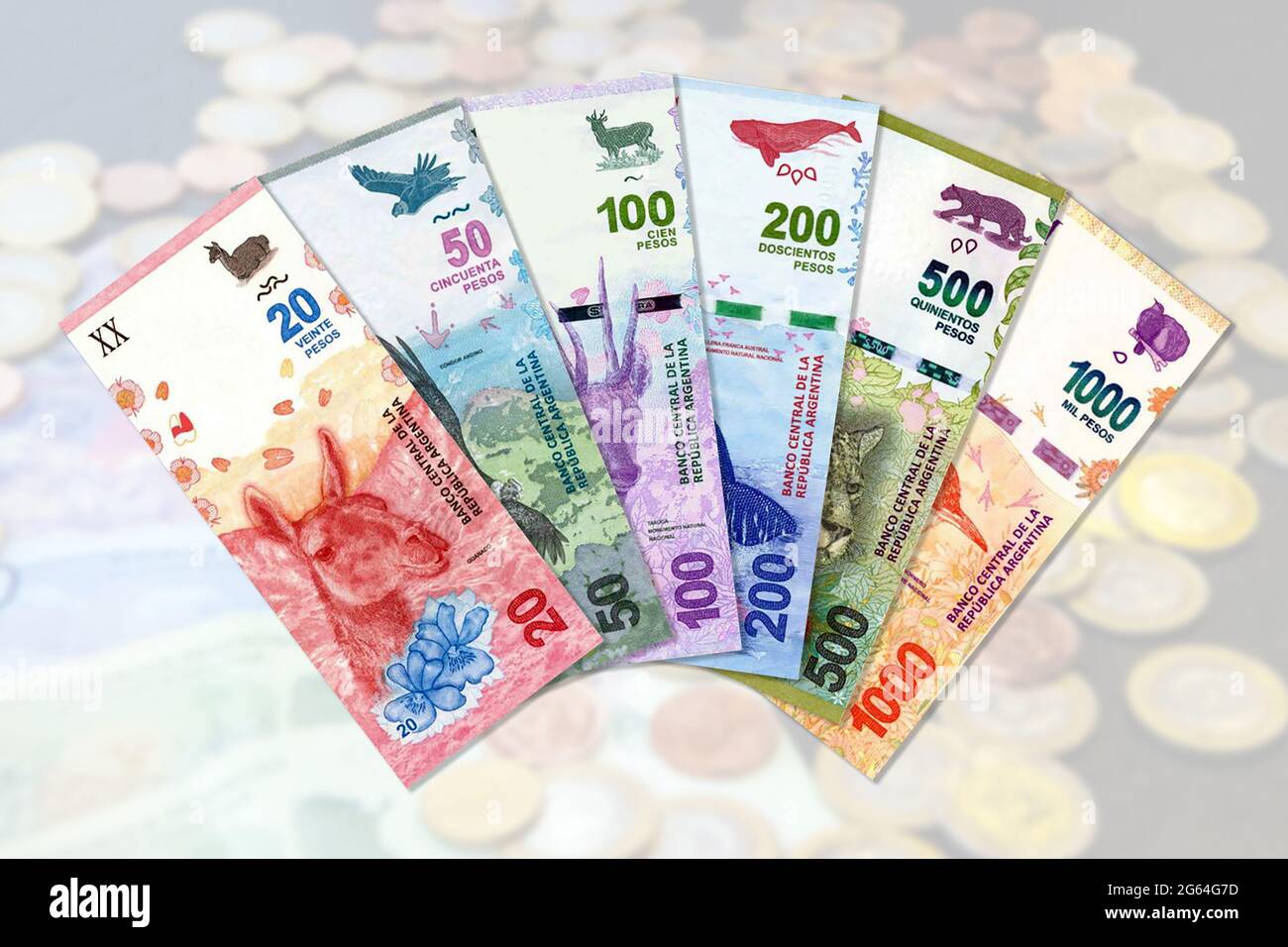 Argentine pesos: banknotes with new animal designs (2021 Stock Photo ...