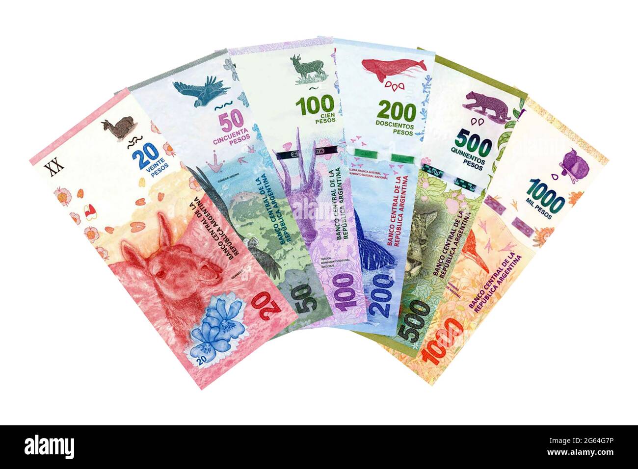 Argentine pesos: banknotes with new animal designs (2021 Stock Photo ...