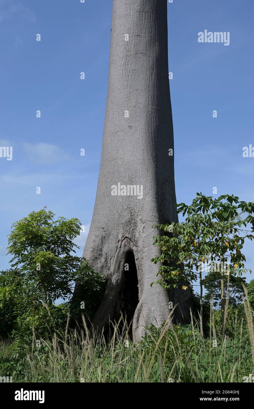 Ivoirien High Resolution Stock Photography and Images - Alamy