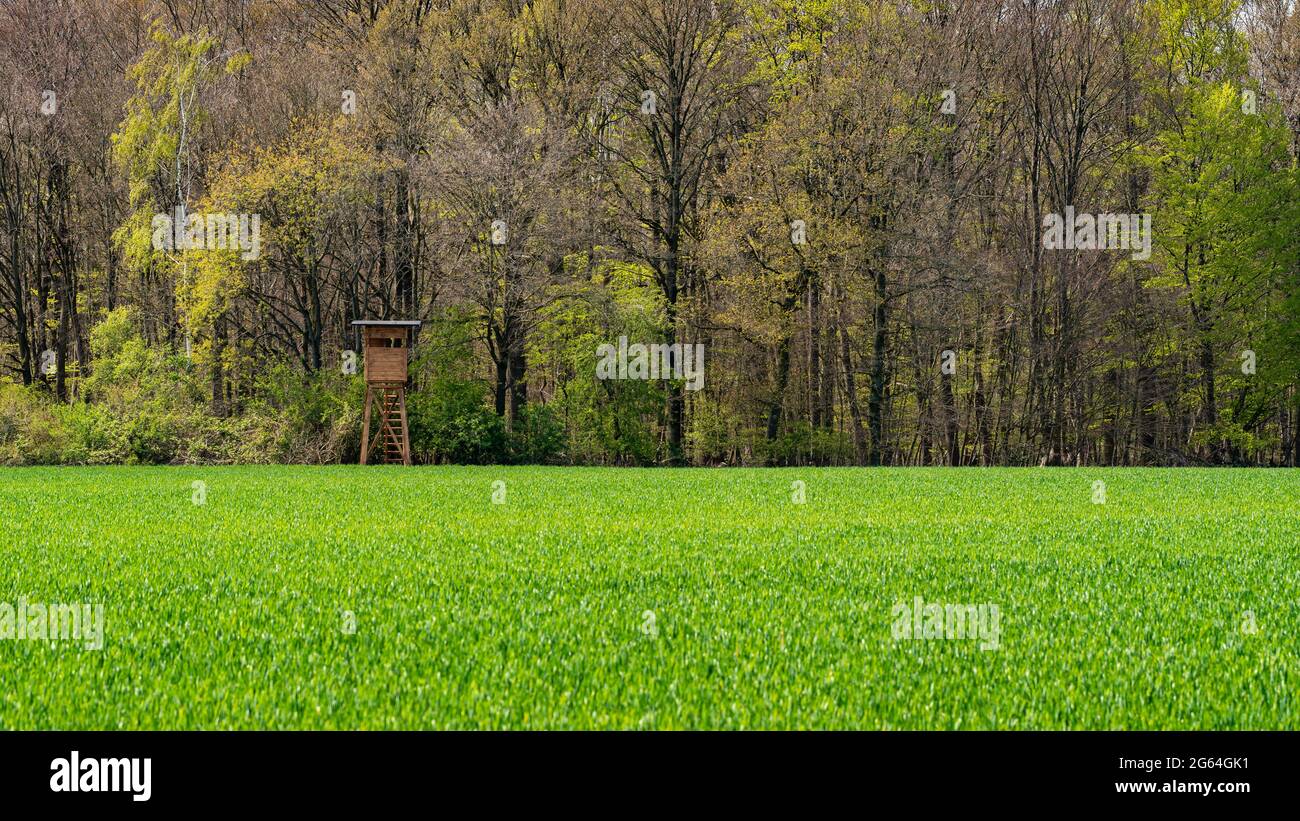 Hunter house in forest. Wooden Hunting Lodge Stock Photo - Alamy