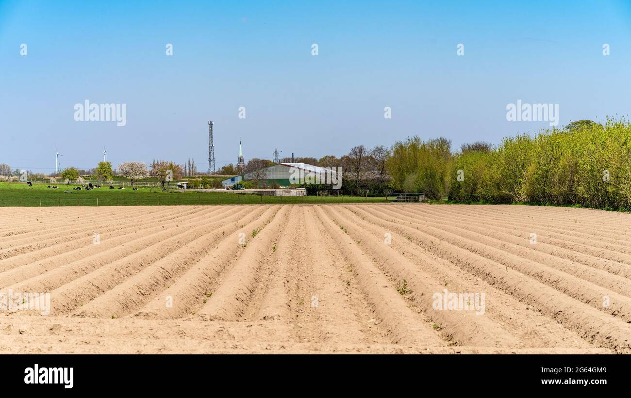View of the plowed fields in the spring for growing Stock Photo - Alamy