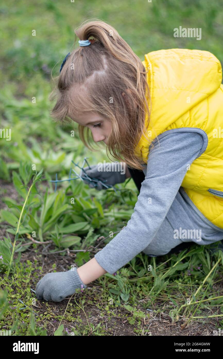 Kid weeding plants at backyard lawn. Toddler girl helps gardening and ...