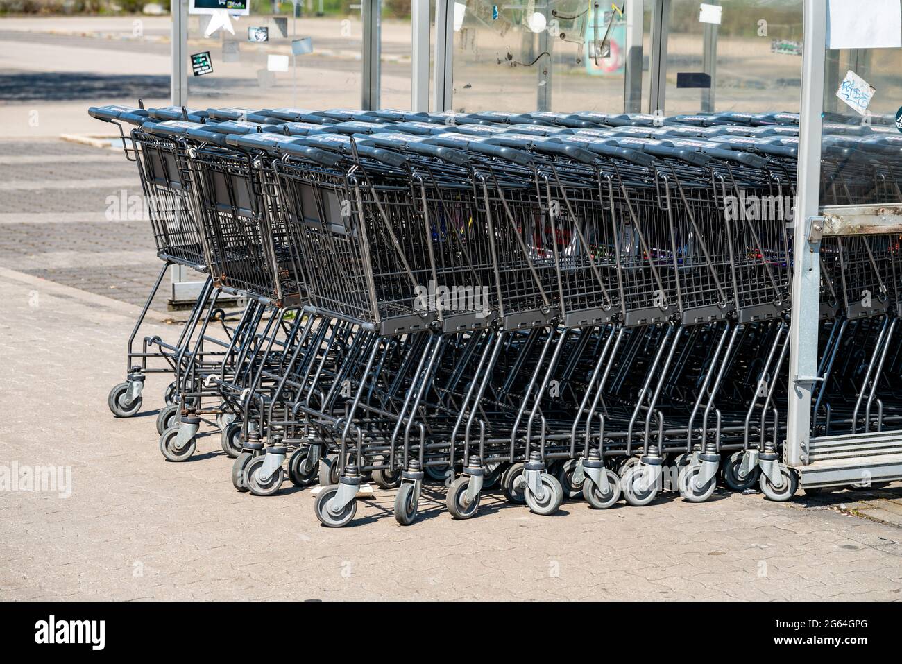Supermarket shopping carts In The Store Stock Photo - Alamy