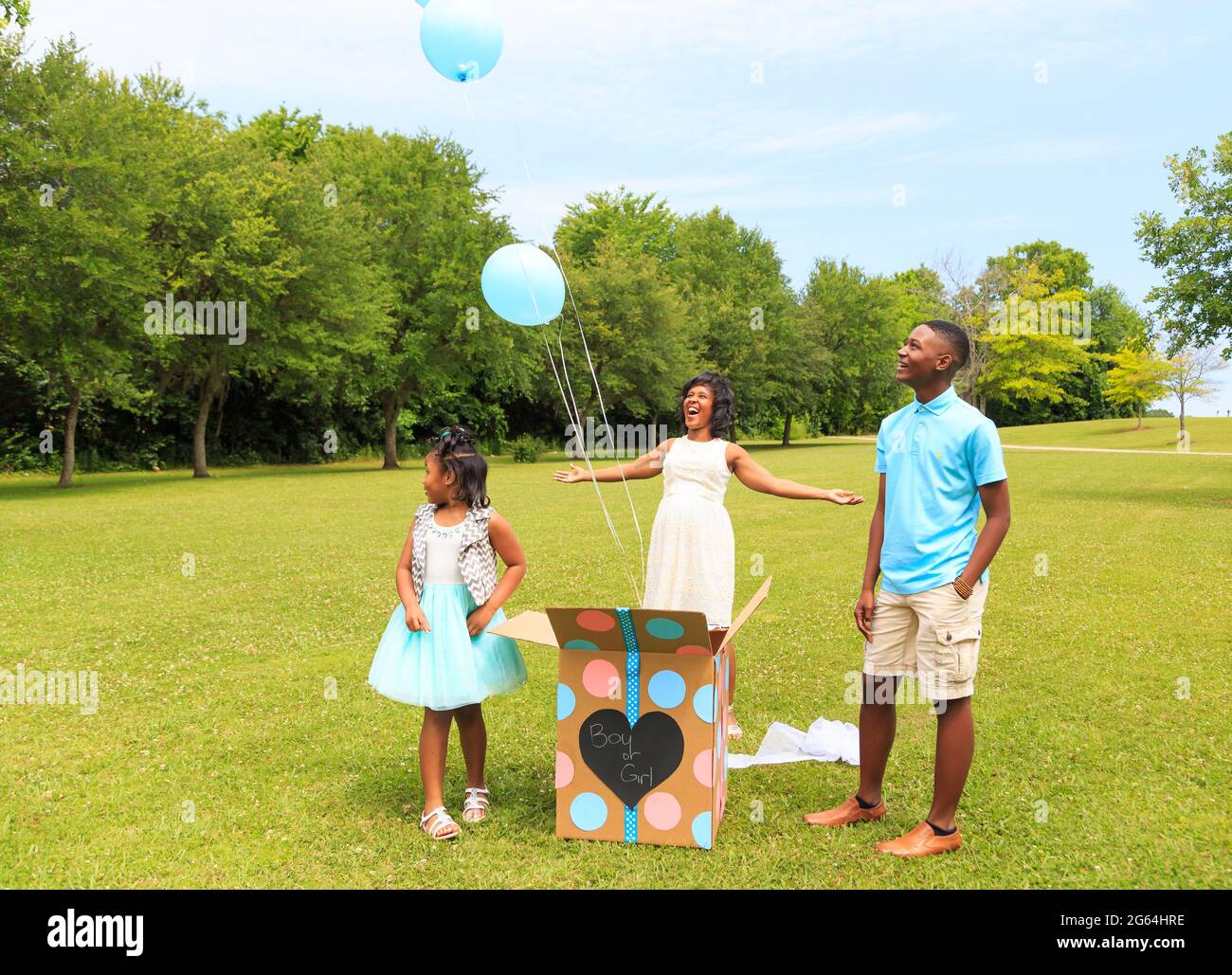 Gender reveal balloon hi-res stock photography and images - Alamy