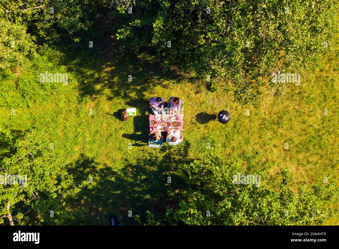 High above angle view friends cooking barbeque outdoors drinking beer ...