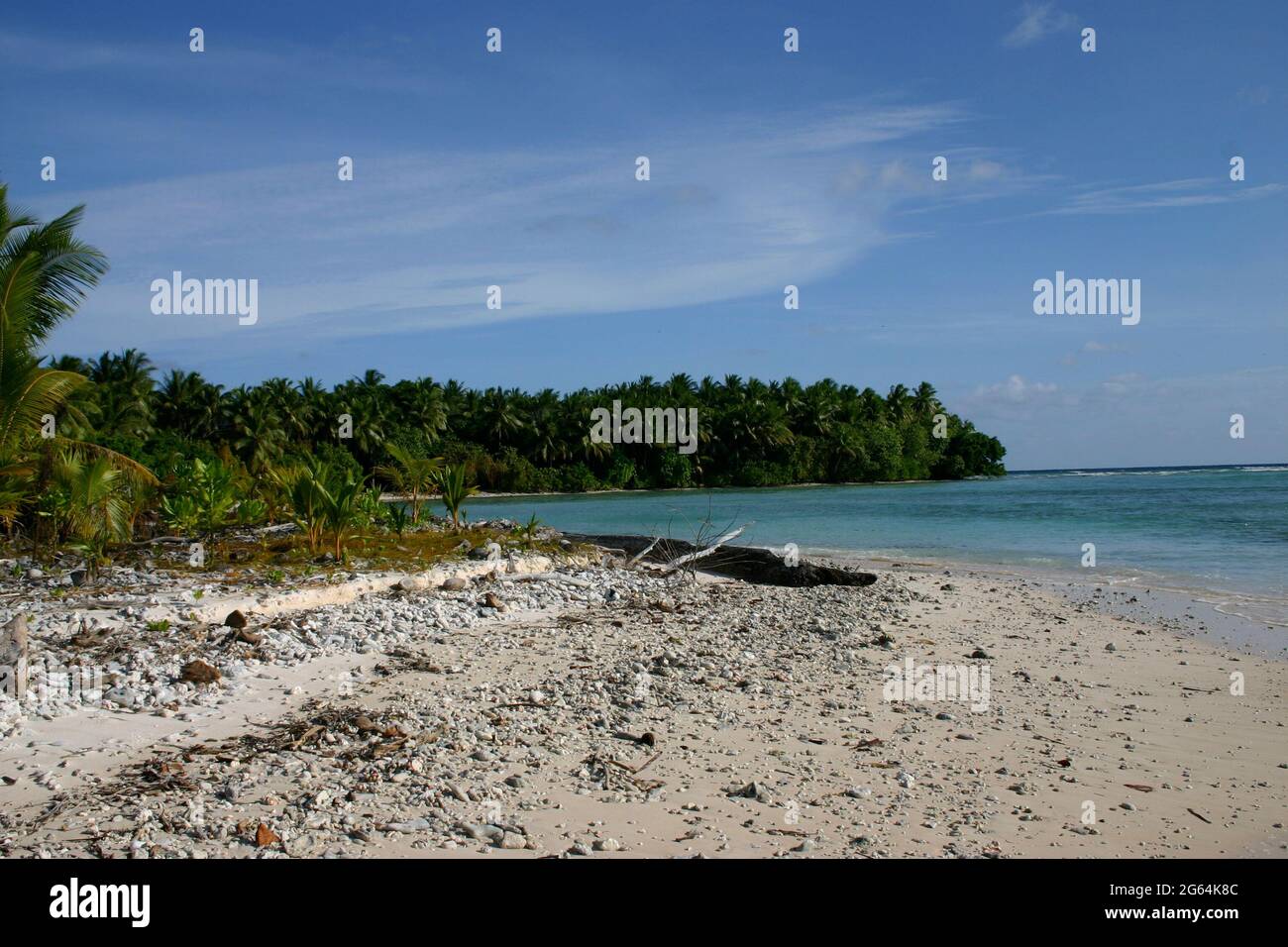Jaluit atoll, Marshall Islands - White sand beach, lagoon and palm ...