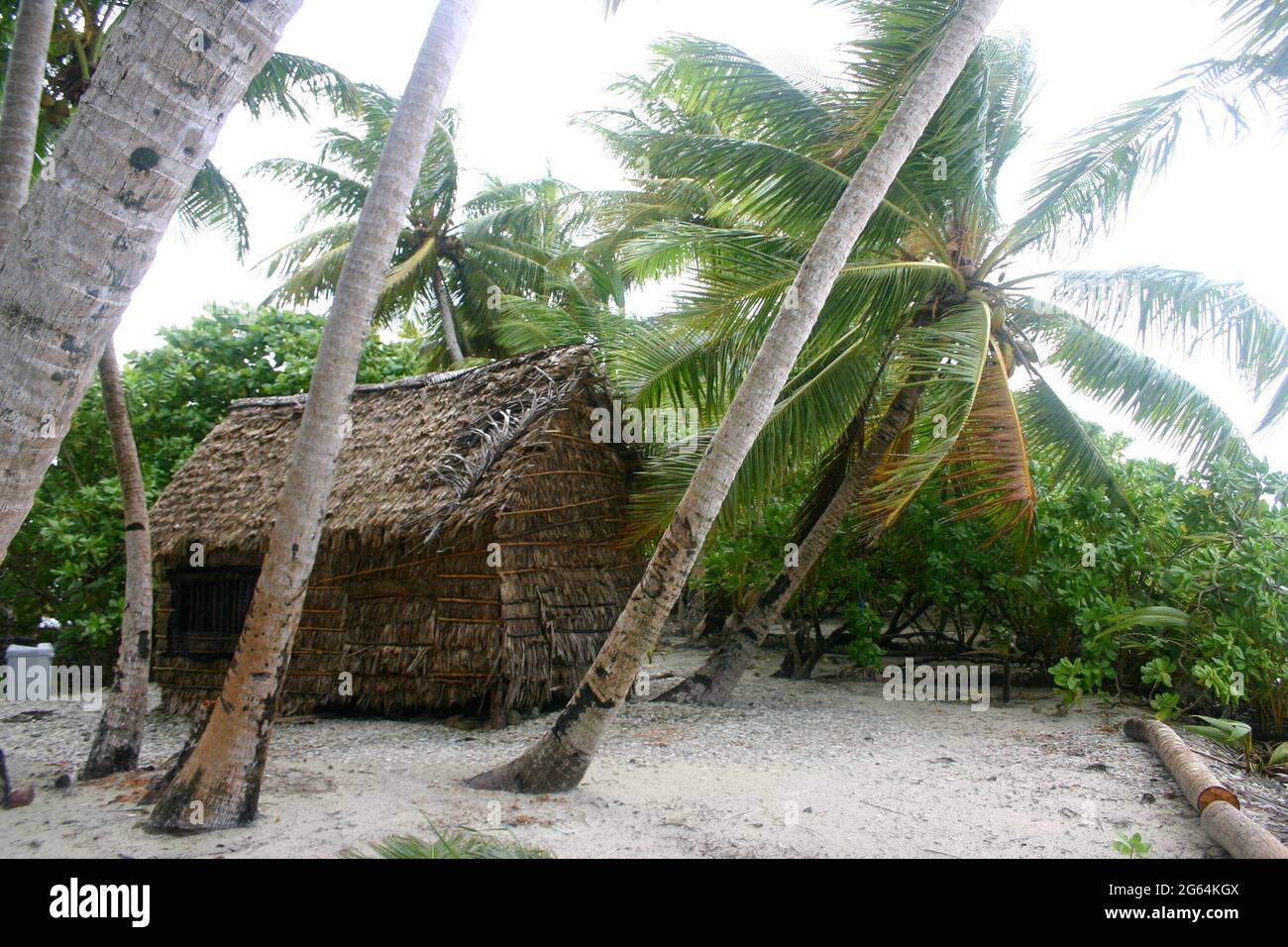 Jaluit atoll, Marshall Islands - traditional thatch house Stock Photo ...