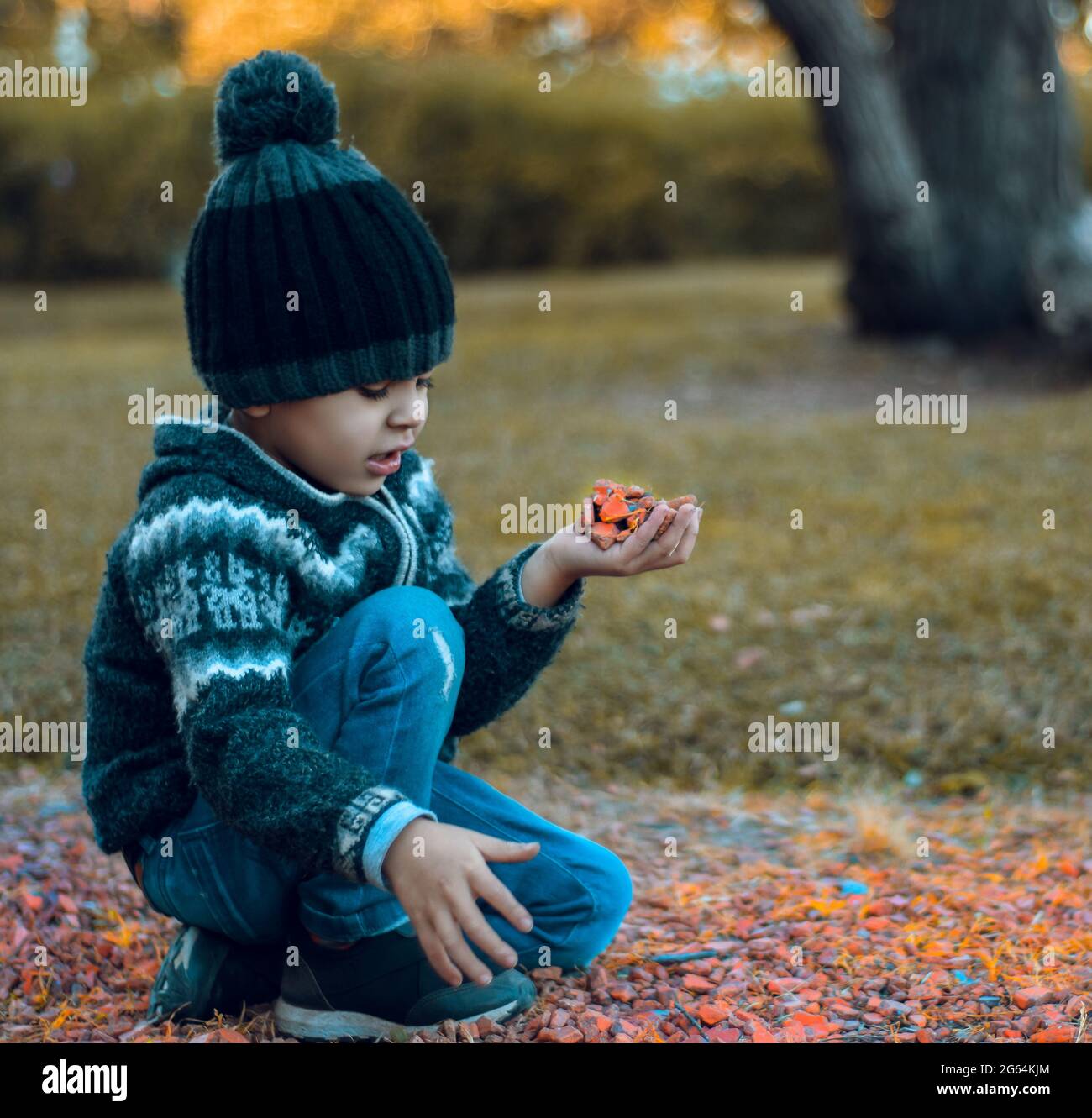 Wool pebbles hi-res stock photography and images - Alamy