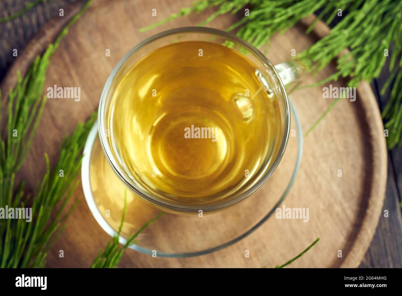 A cup of horsetail tea with fresh Equisetum plant, top view Stock Photo ...