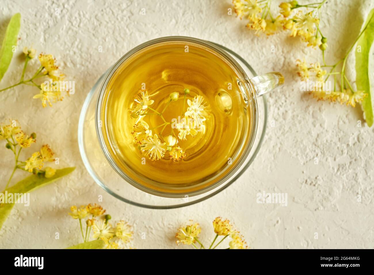 A cup of linden flower tea with fresh plant on white background, top ...