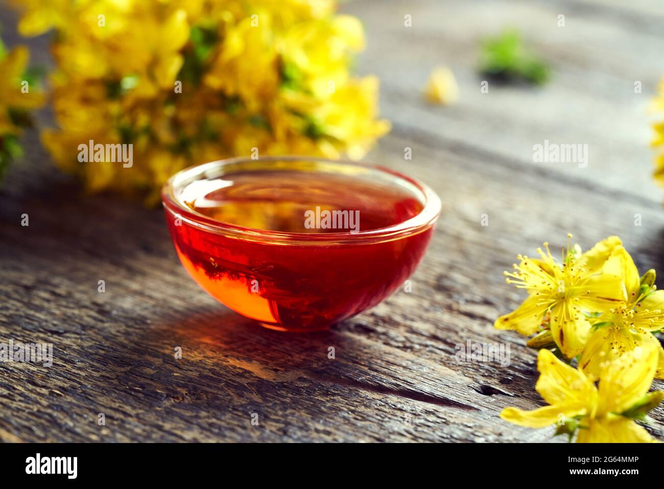 A bowl of red oil made from St. John's wort flowers - alternative ...
