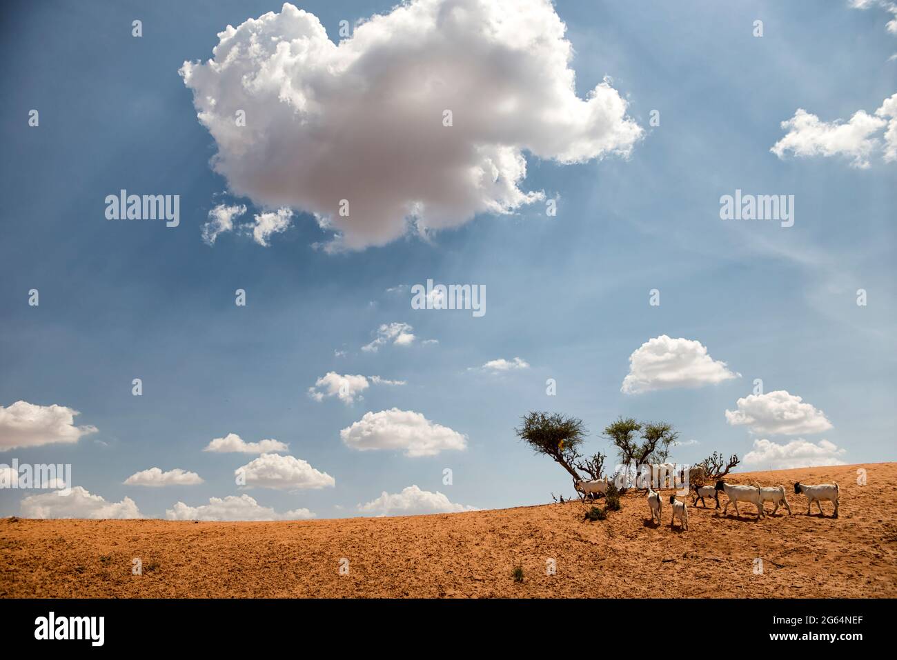 Middlepits botswana hi-res stock photography and images - Alamy