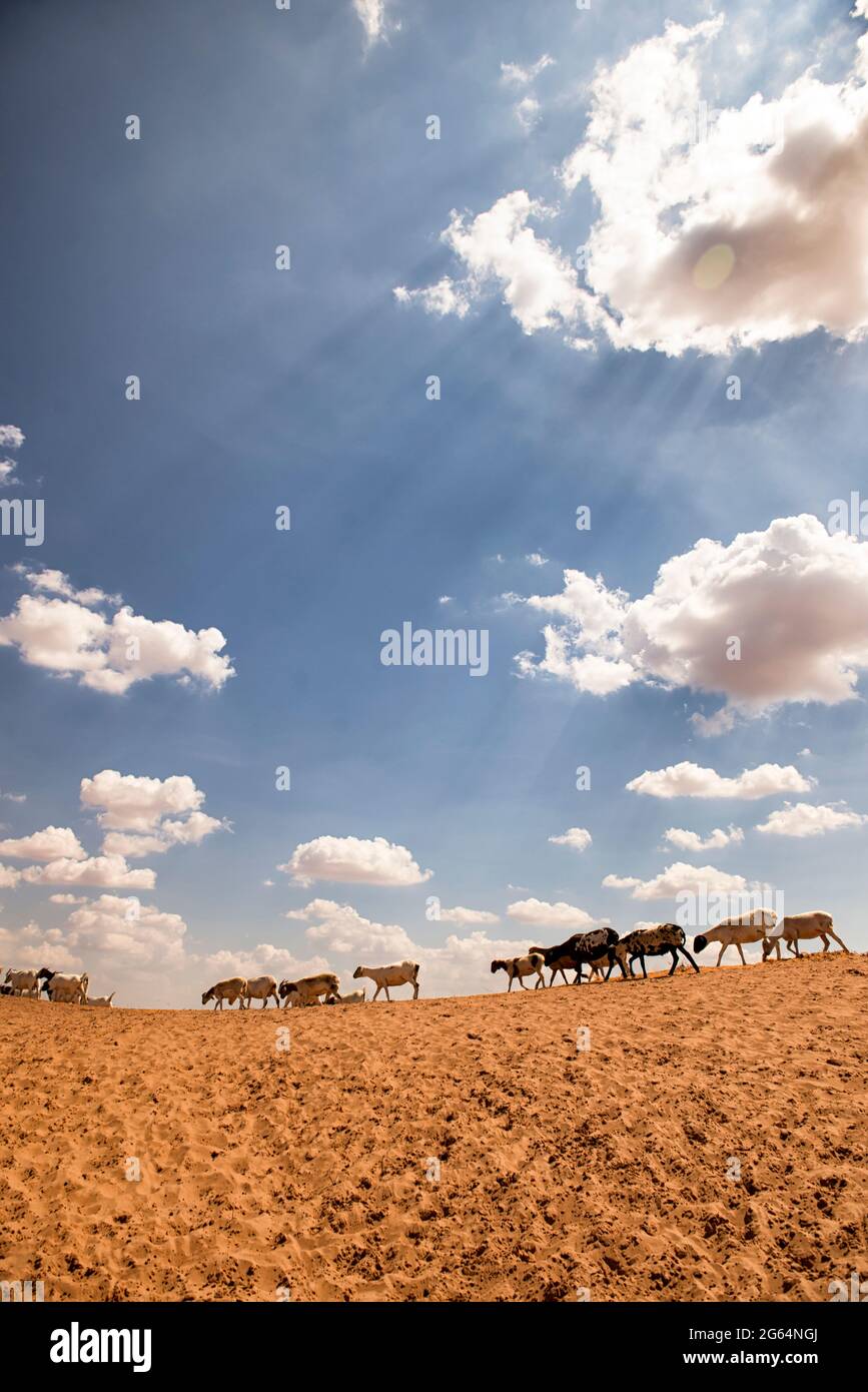 Middlepits hi-res stock photography and images - Alamy