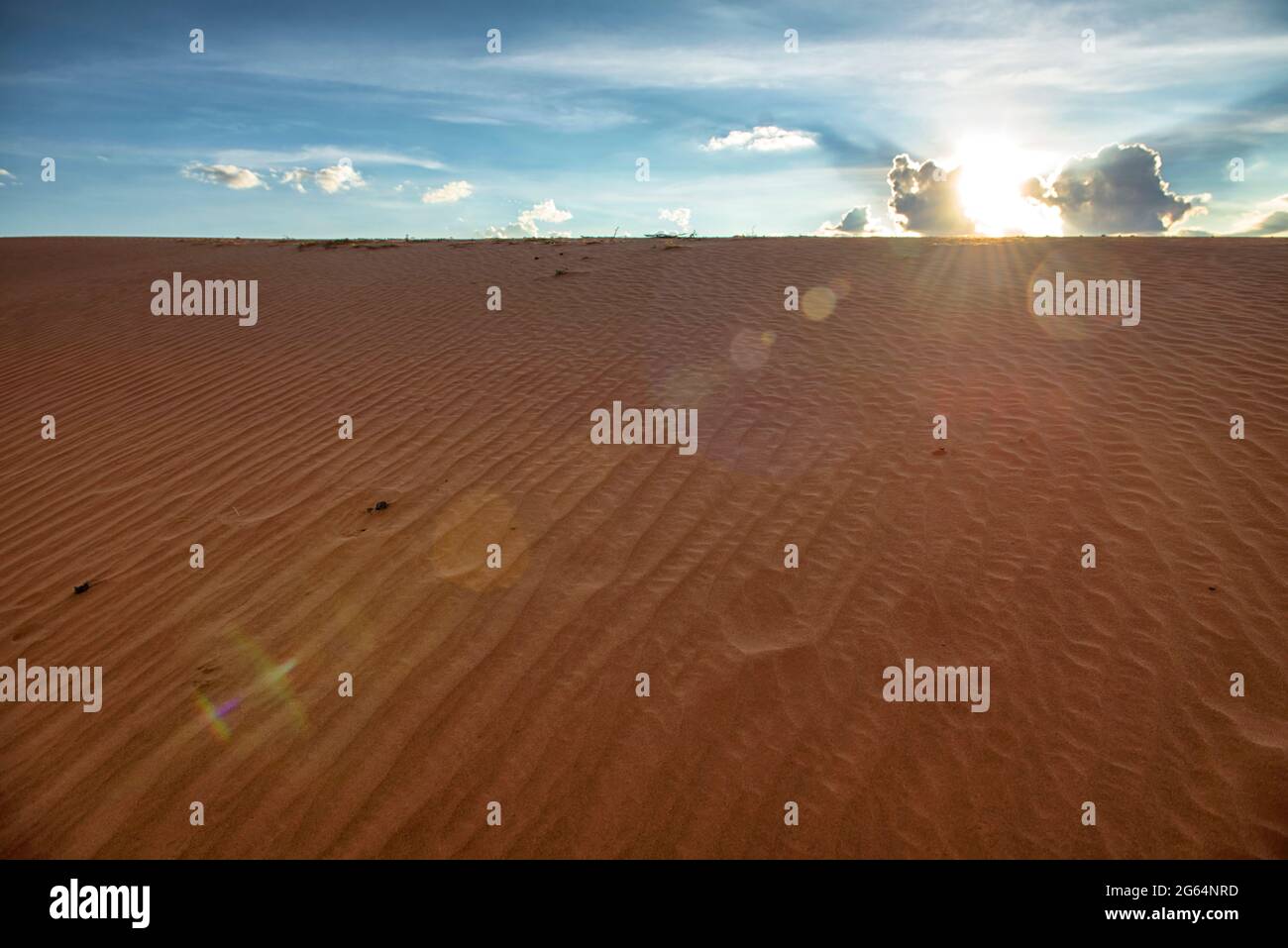 Calcium stones hi-res stock photography and images - Alamy