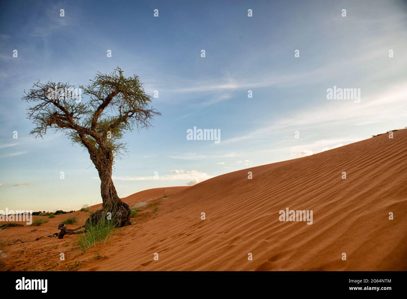 Middlepits hi-res stock photography and images - Alamy