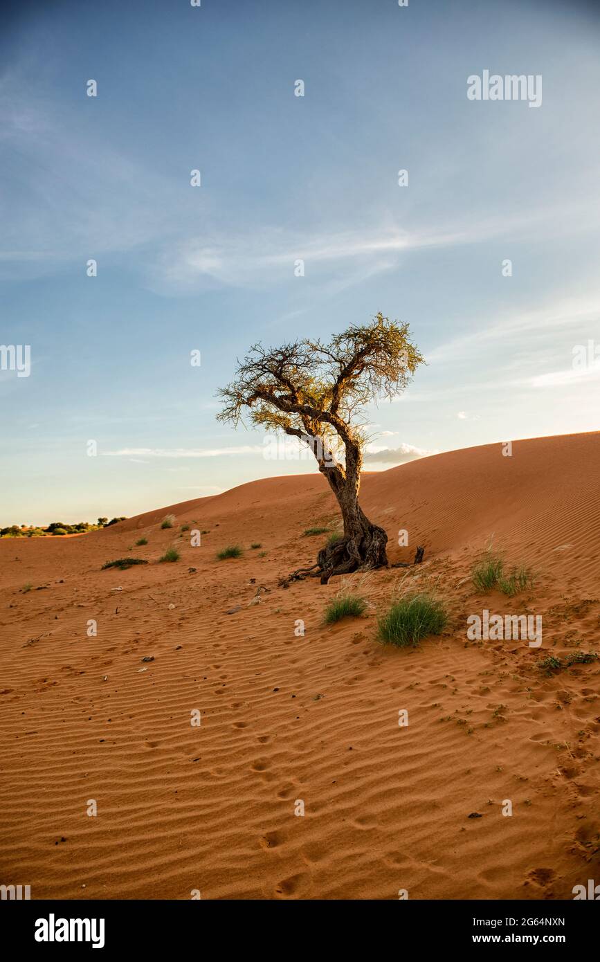 Middlepits botswana hi-res stock photography and images - Alamy