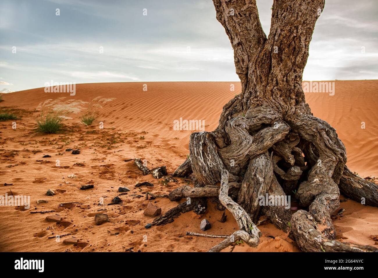 Construction projects desert hi-res stock photography and images - Alamy