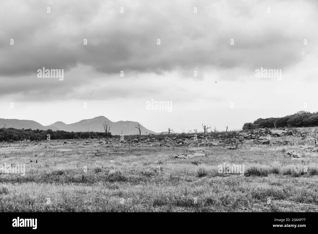 Bakwena hi-res stock photography and images - Alamy