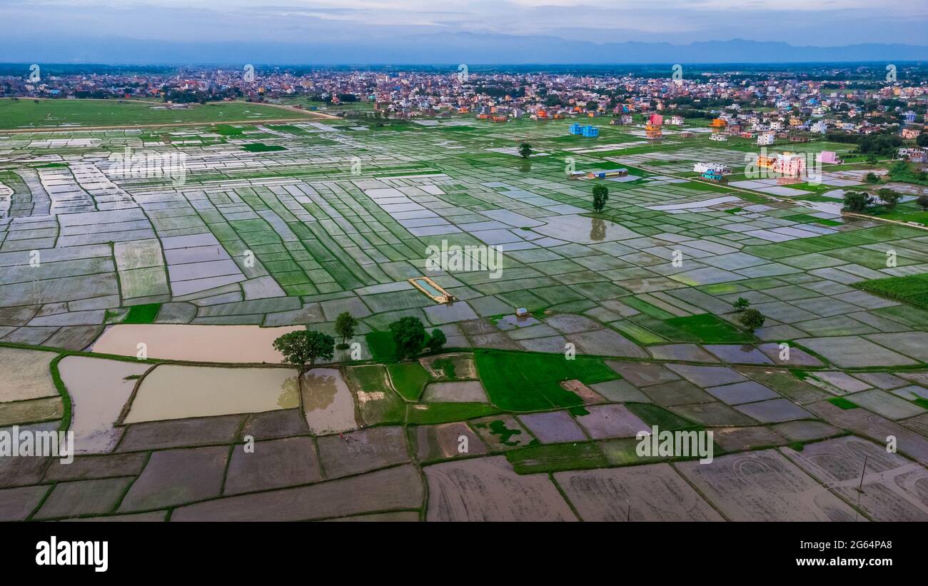Aerial view of fresh cultivated land. Farmlands divided into ...