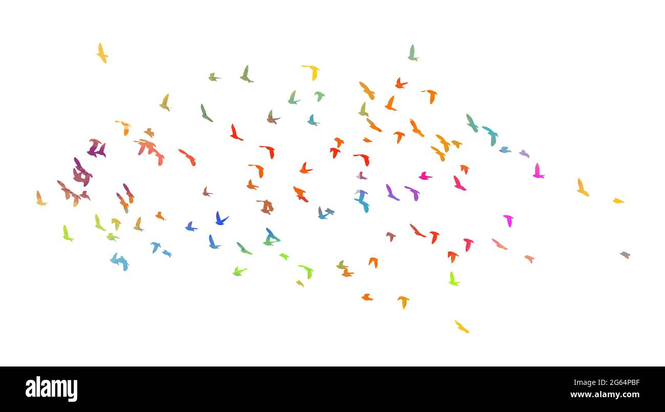 A flock of colorful birds. Vector illustration Stock Vector Image & Art ...