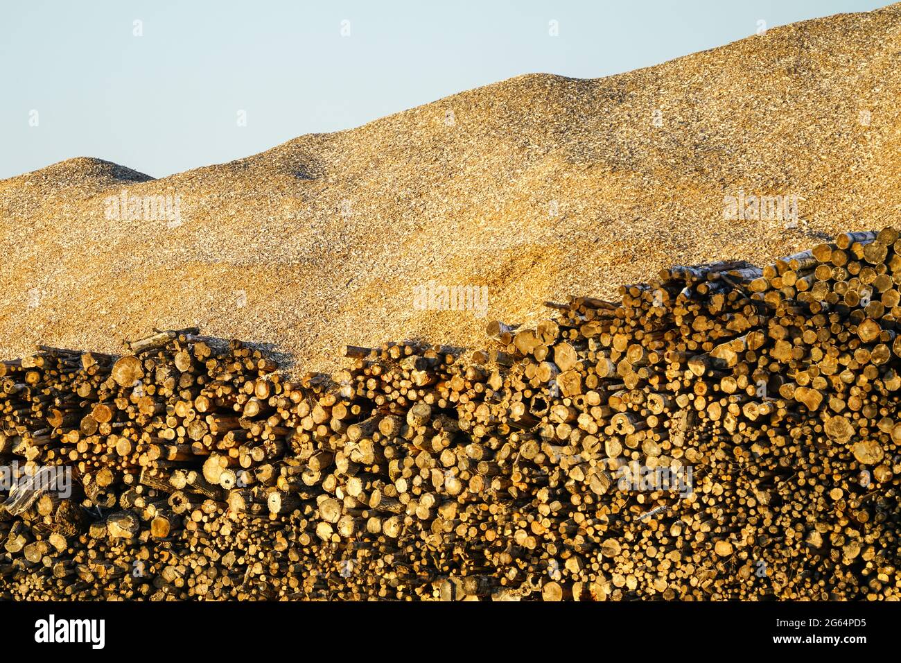 Piles of sawdust hi-res stock photography and images - Alamy