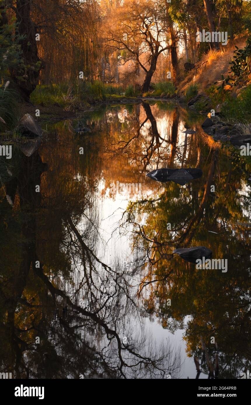 Reflections of trees in a stream Stock Photo - Alamy