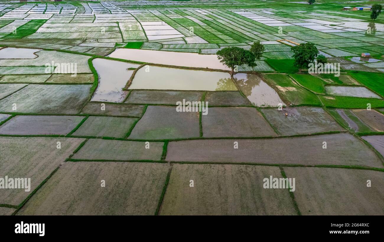 Aerial view of fresh cultivated land. Farmlands divided into ...