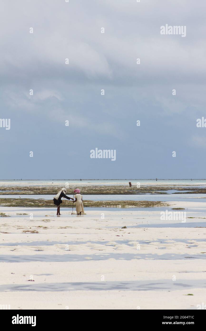 Two women fish in the low tide Stock Photo - Alamy