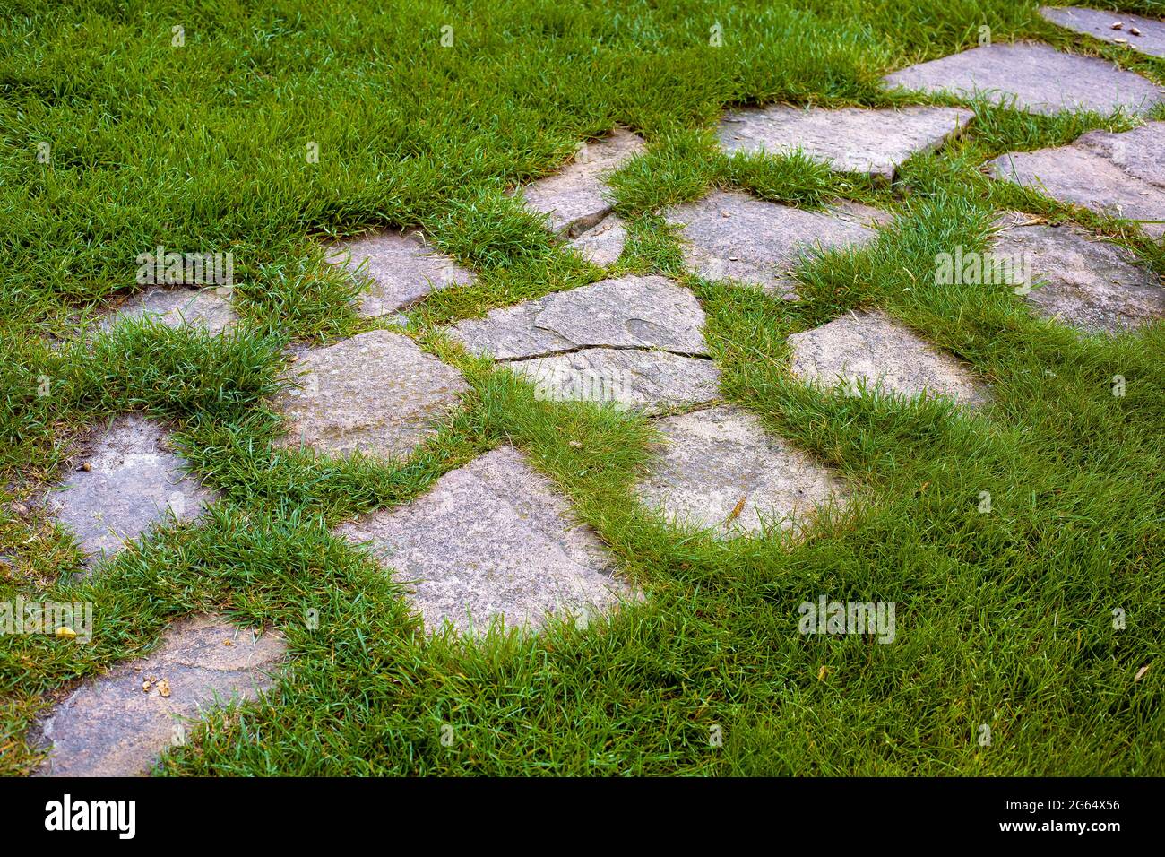 Landscaped garden path made of natural rough stone overgrown with grass ...