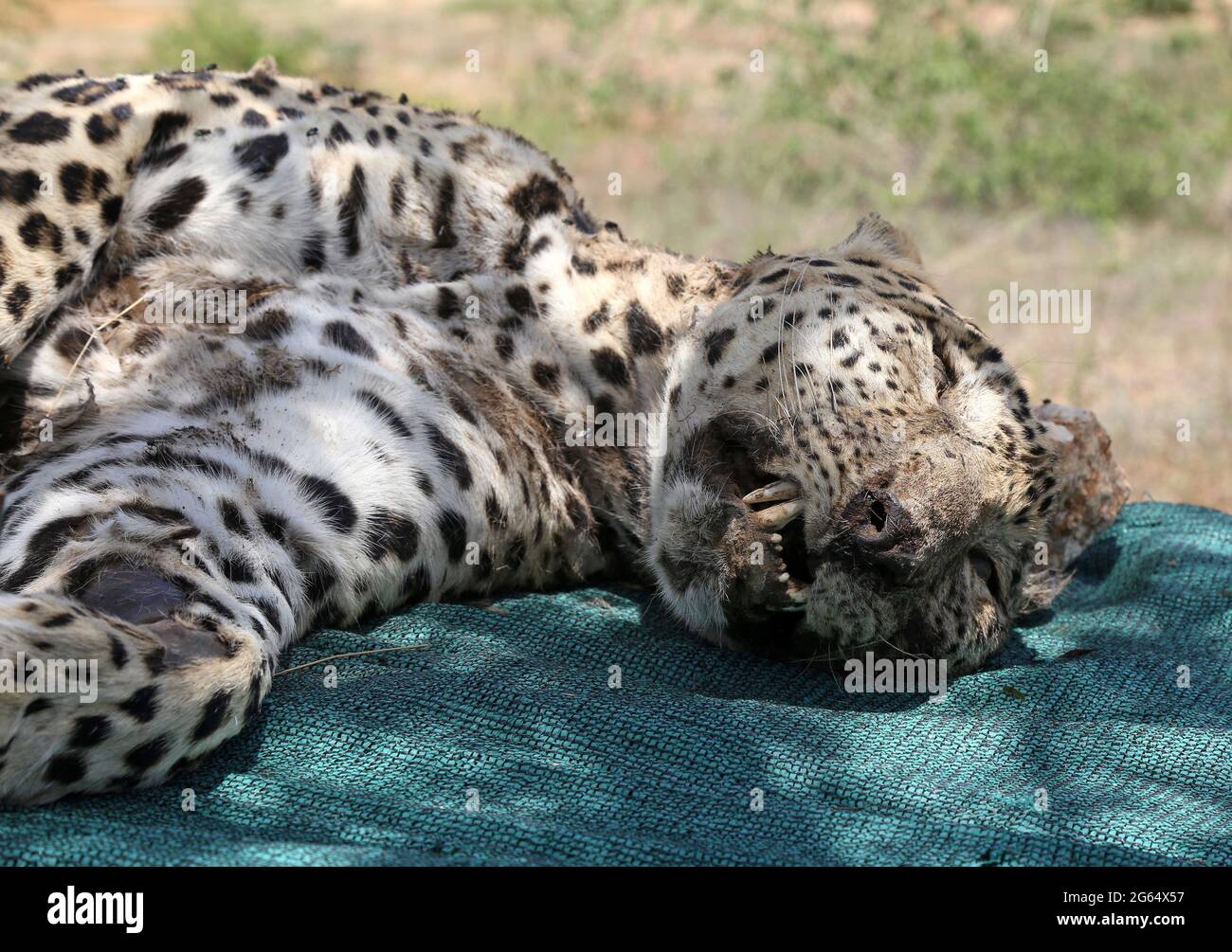 Hindu female dead body old hi-res stock photography and images - Alamy