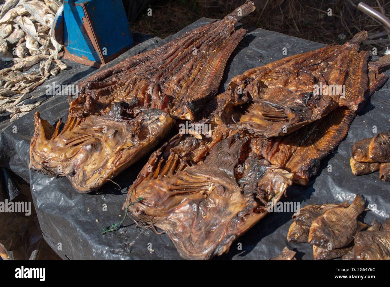 Whole smoked and cured African catfish Stock Photo - Alamy