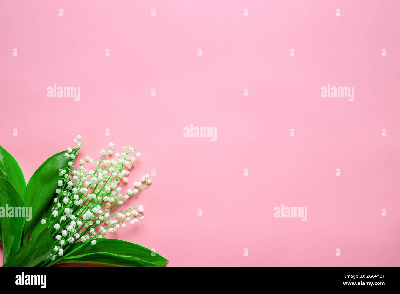 Lush bouquet of lilly of the valley in the left corner with empty space ...