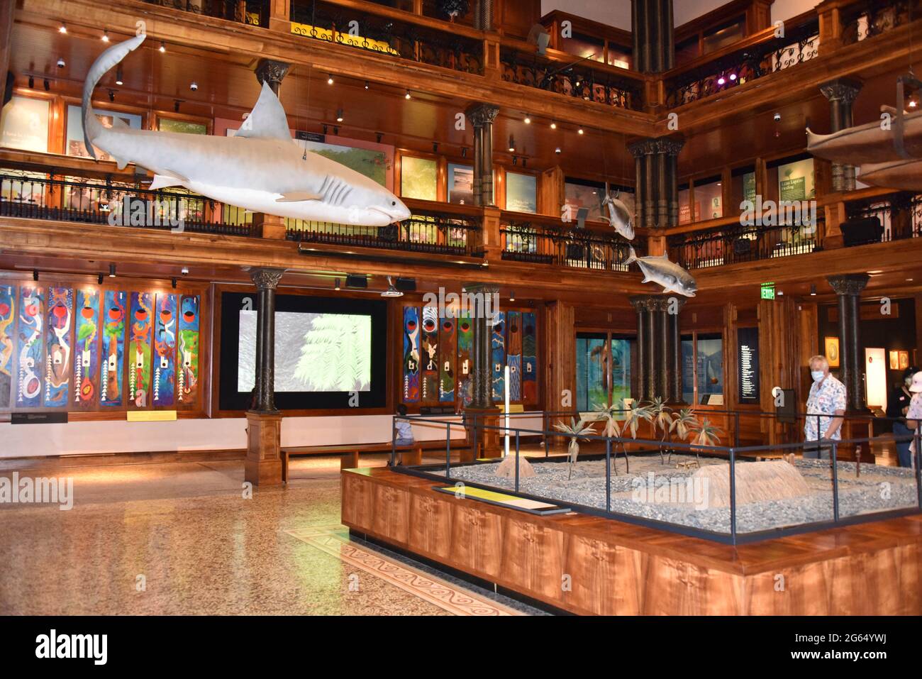 Oahu, Hawaii. U.S.A. 6/9/2021. (Ambient light/flash) Bishop Museum 1889 ...