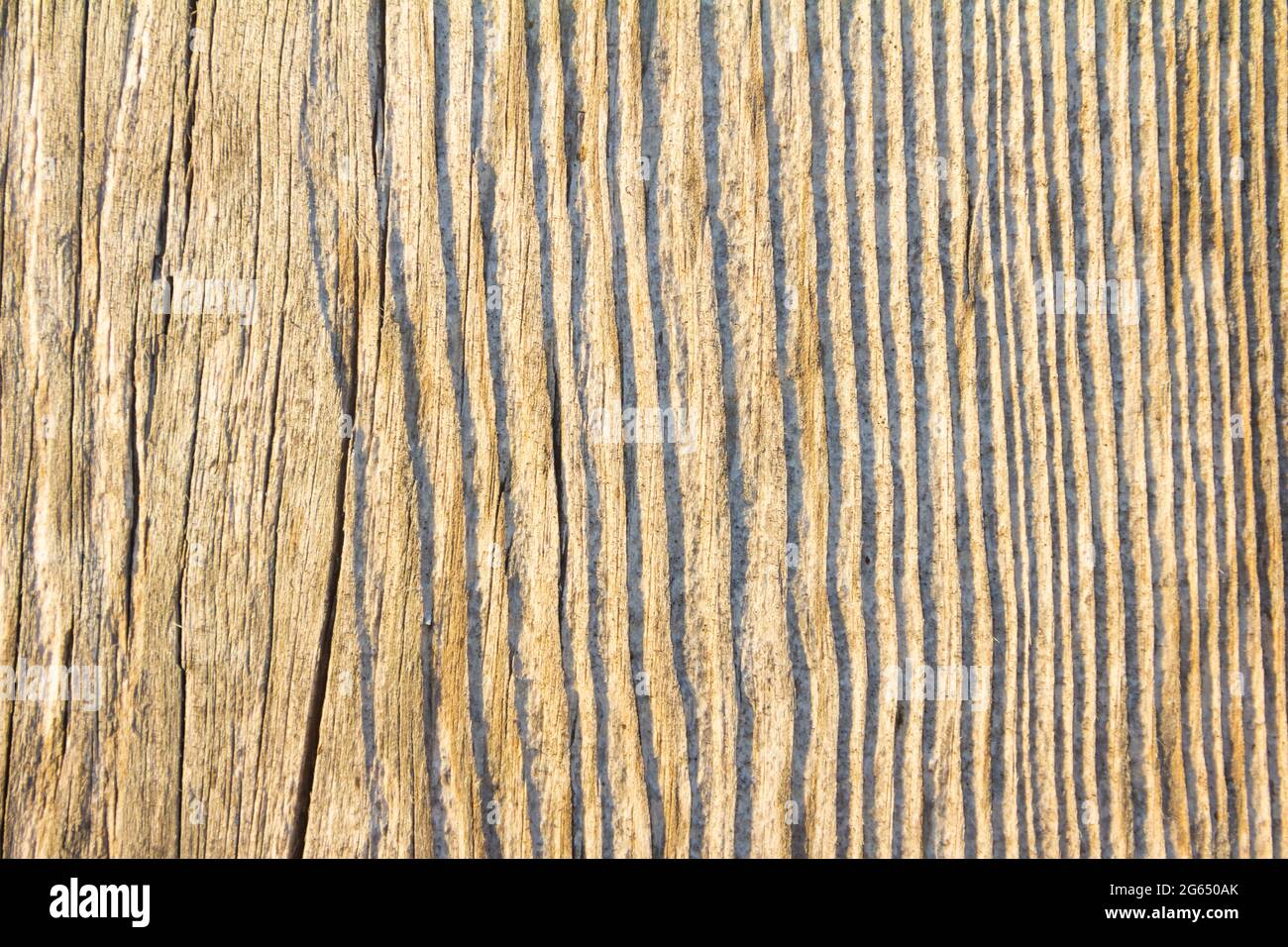 Close up of wooden background with natural detailed surface texture ...