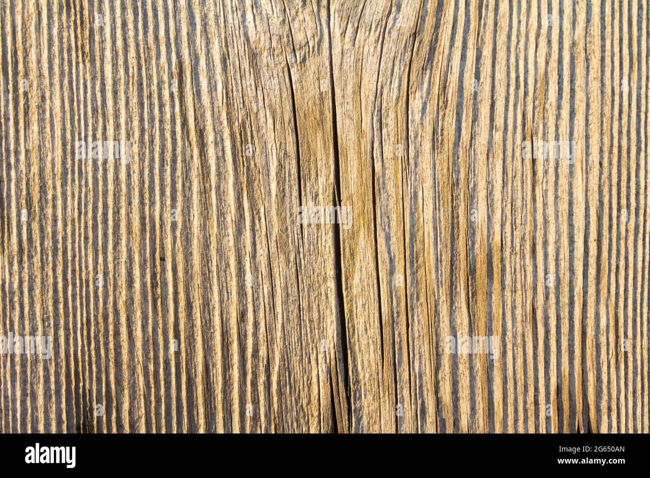 Close up of wooden background with natural detailed surface texture ...
