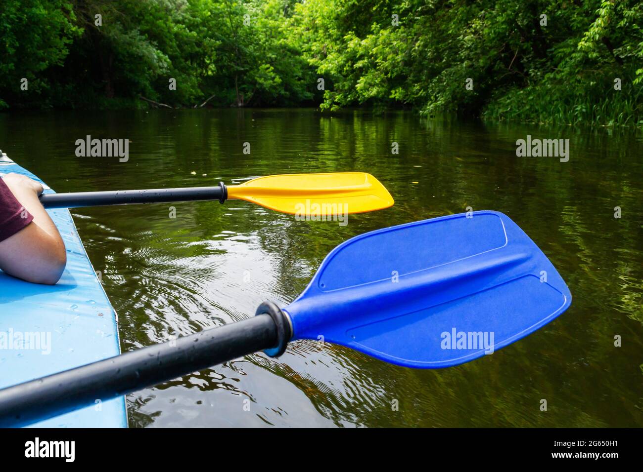 Paddle for rowing blue and yellow flowers in the hands of people while ...