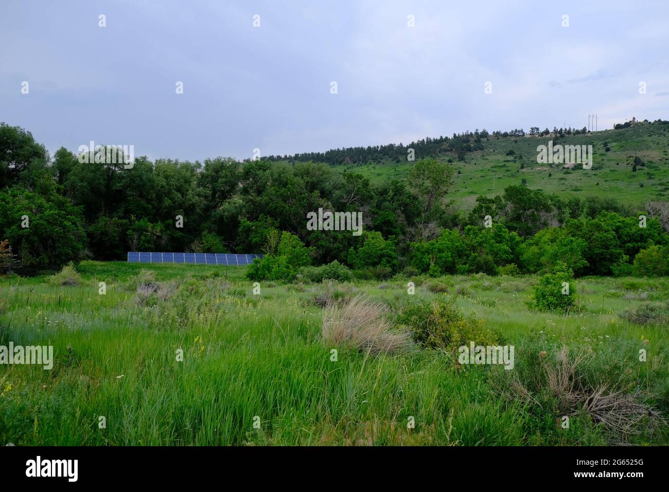 Golden panels hi-res stock photography and images - Alamy