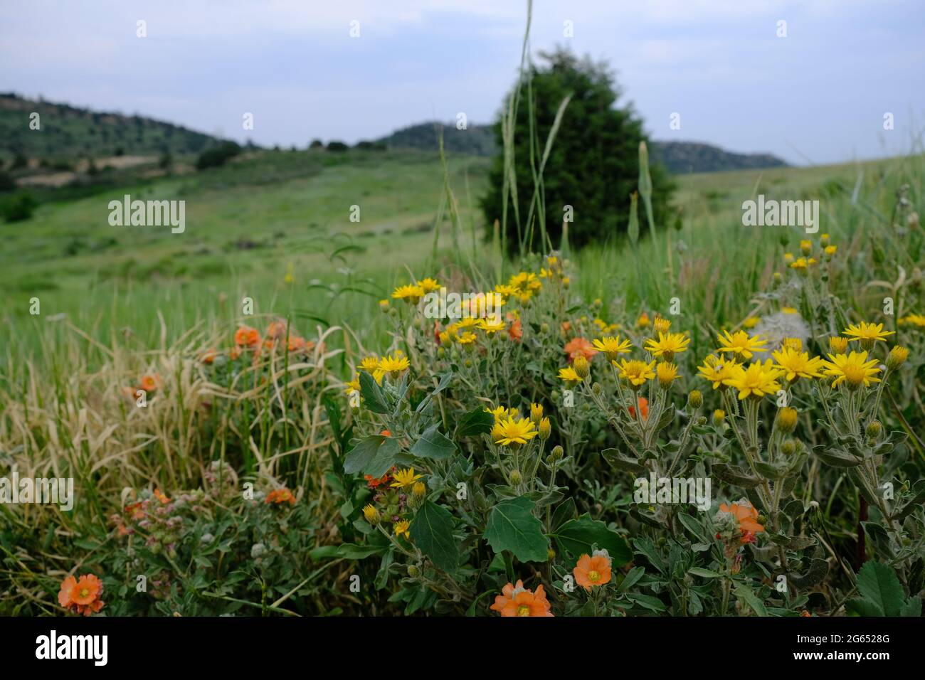 Matthews Winters Park in Golden Colorado Stock Photo - Alamy