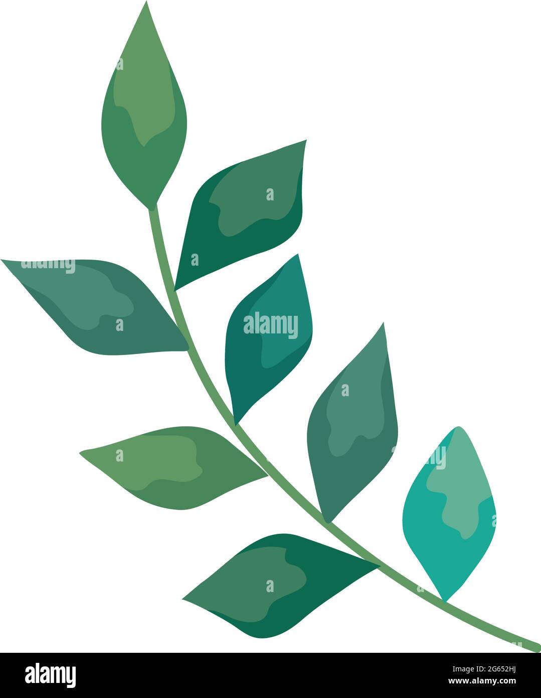 Plant leaf icon Stock Vector Image & Art - Alamy