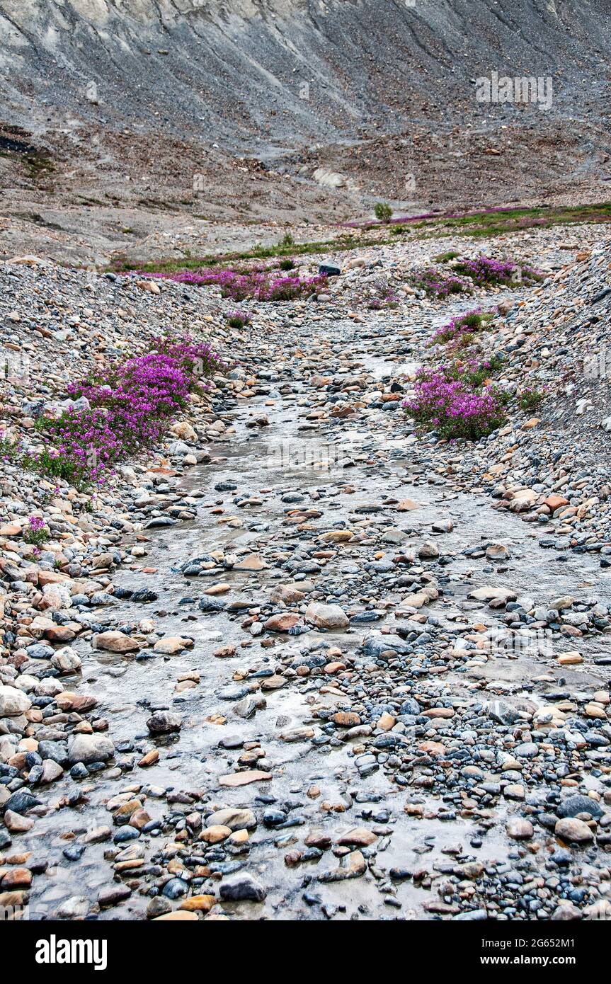 Athabasca Glacier, Banff National Park, Alberta, Canada Stock Photo - Alamy