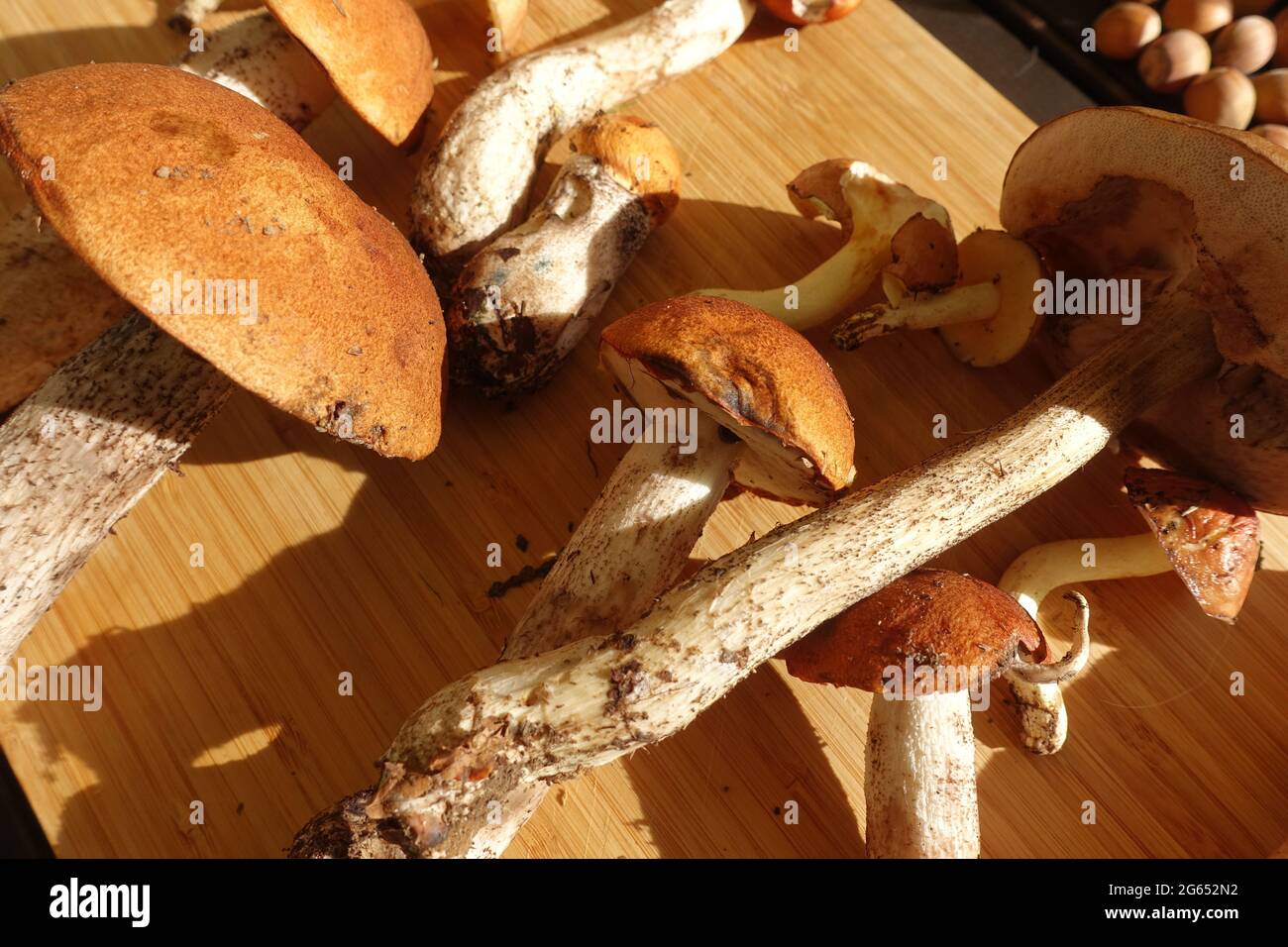 Rotkappen hi-res stock photography and images - Alamy