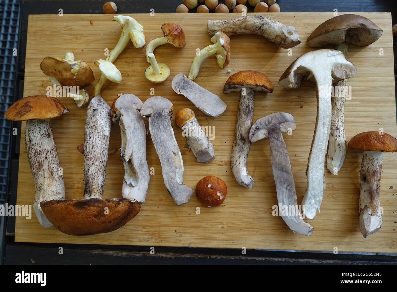 Rotkappe hi-res stock photography and images - Alamy