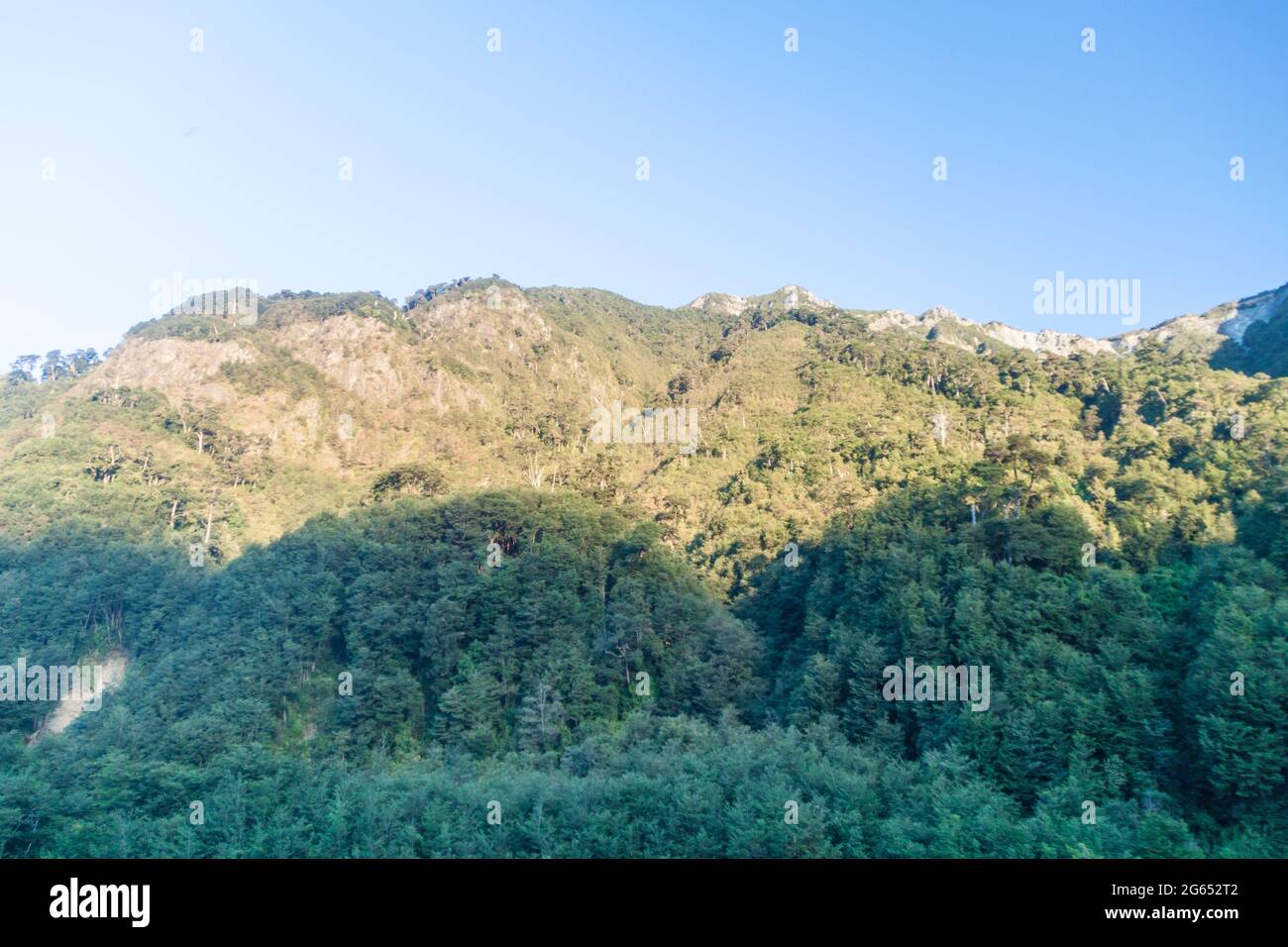 Forest on mountains near Ensenada village, Chile Stock Photo - Alamy